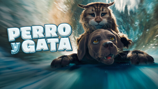 Perro y gata (2024) - Netflix | Flixable